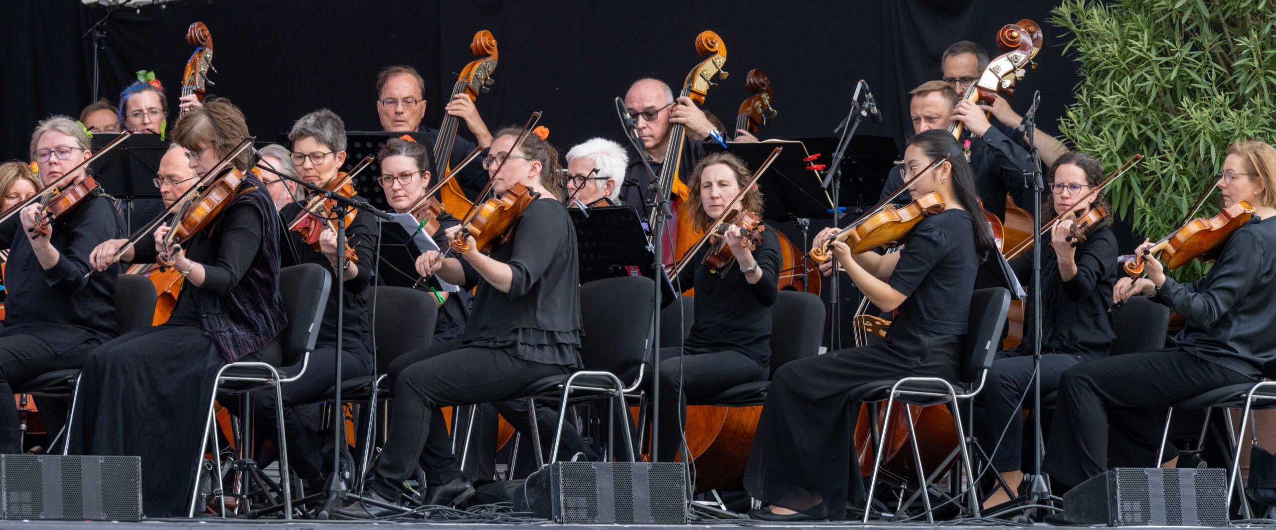 Galerie – Stamitz-Orchester Mannheim